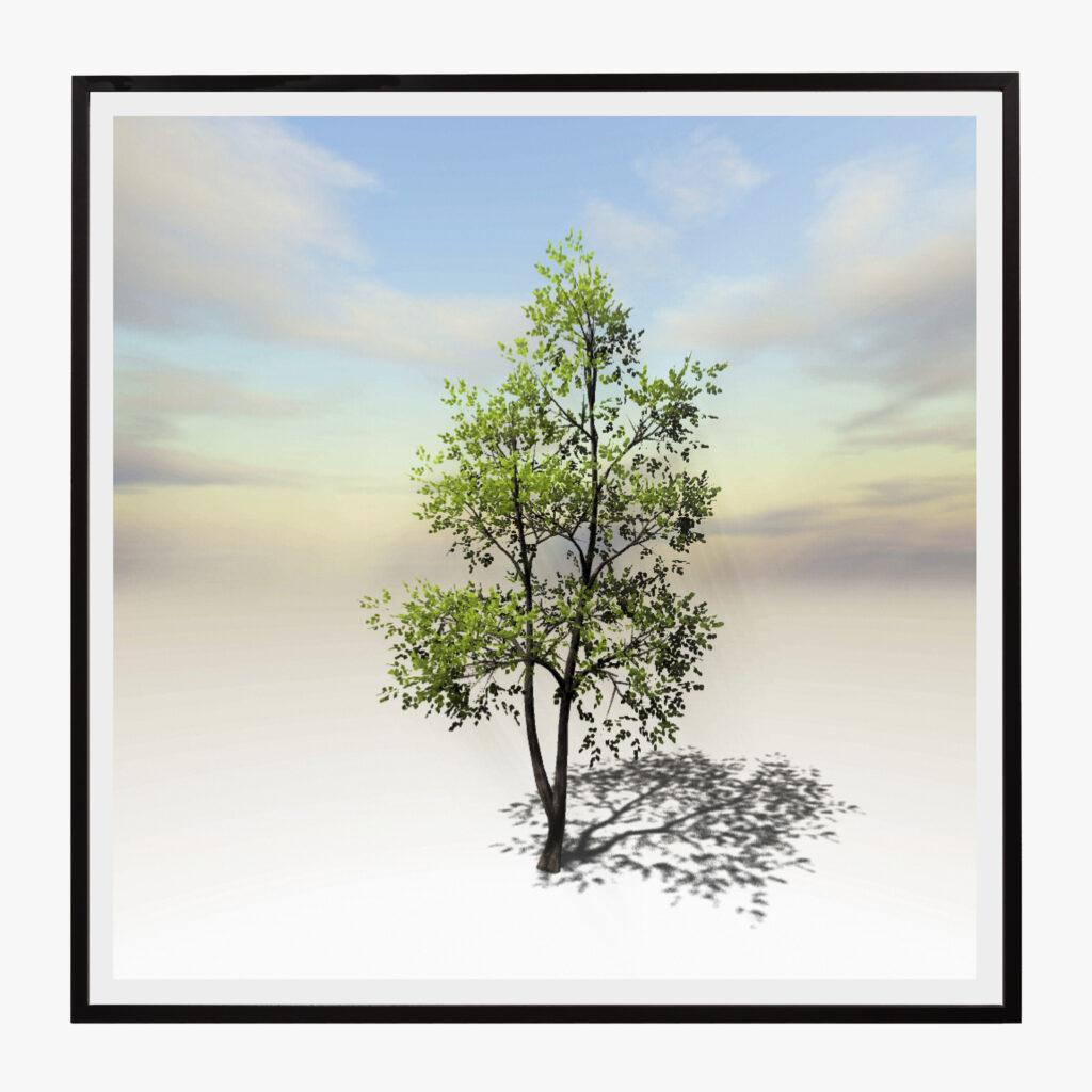 伊藤雅浩の絶対写真論 「Absolute Photographs」 - aaploit