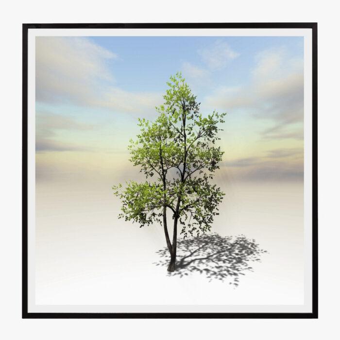 伊藤雅浩の絶対写真論 「Absolute Photographs」 - aaploit